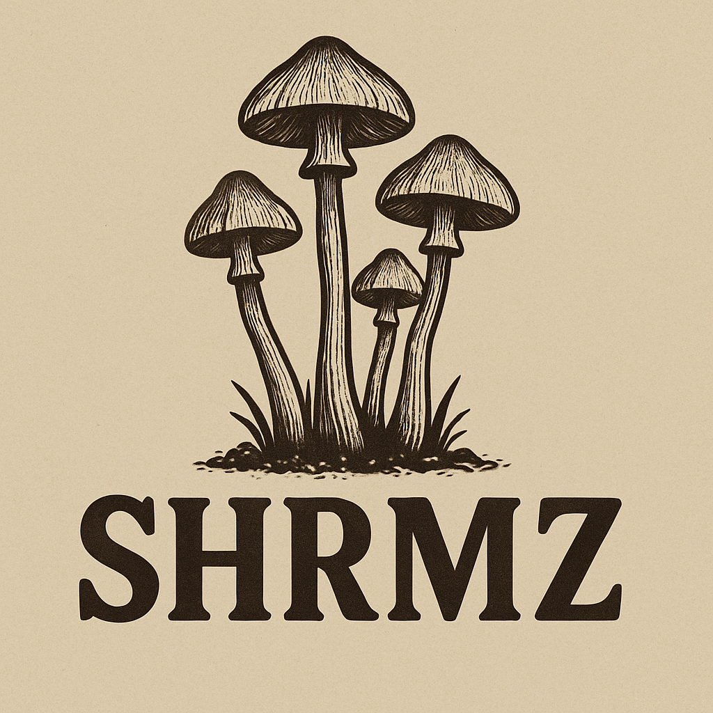 DomainNoob – Names & Domains For Startups